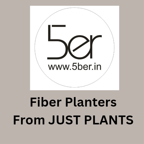 5ber | JUST PLANTS