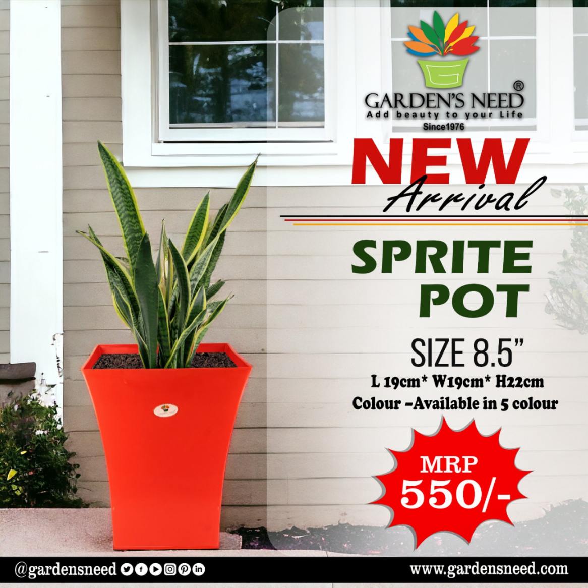 SPRITE POT 30.48 CM (12 INCH) MIX FRESH | GARDENS NEED
