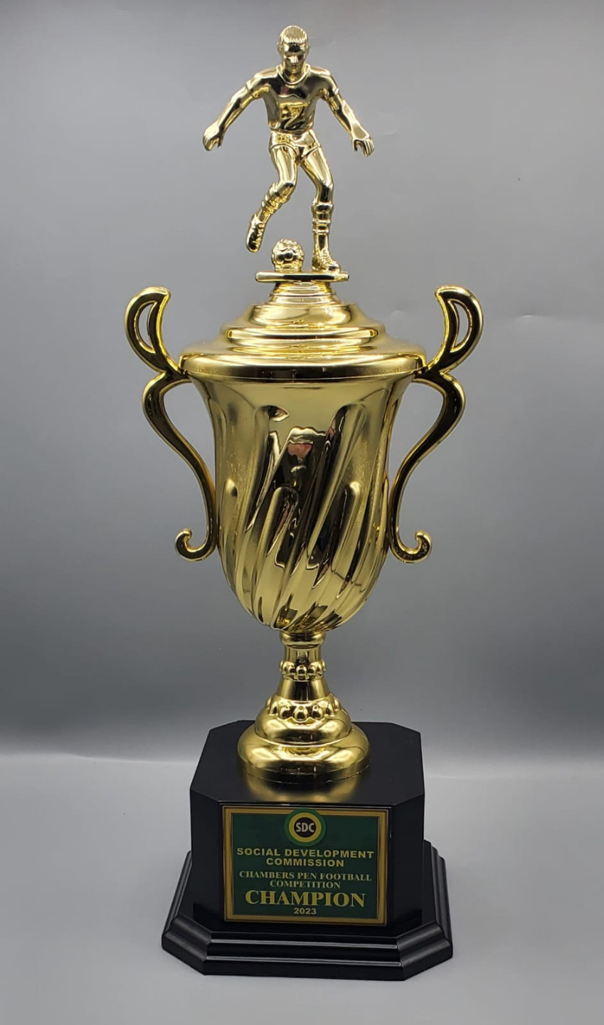 Trophies | Taylor's Artmedia Awards Limited