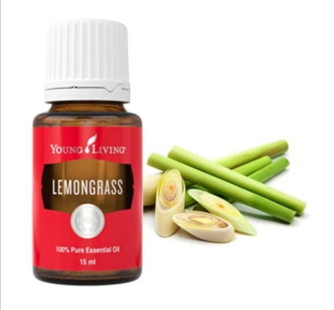 Lemongrass Essential Oil Young Living Young Living Essential Oil