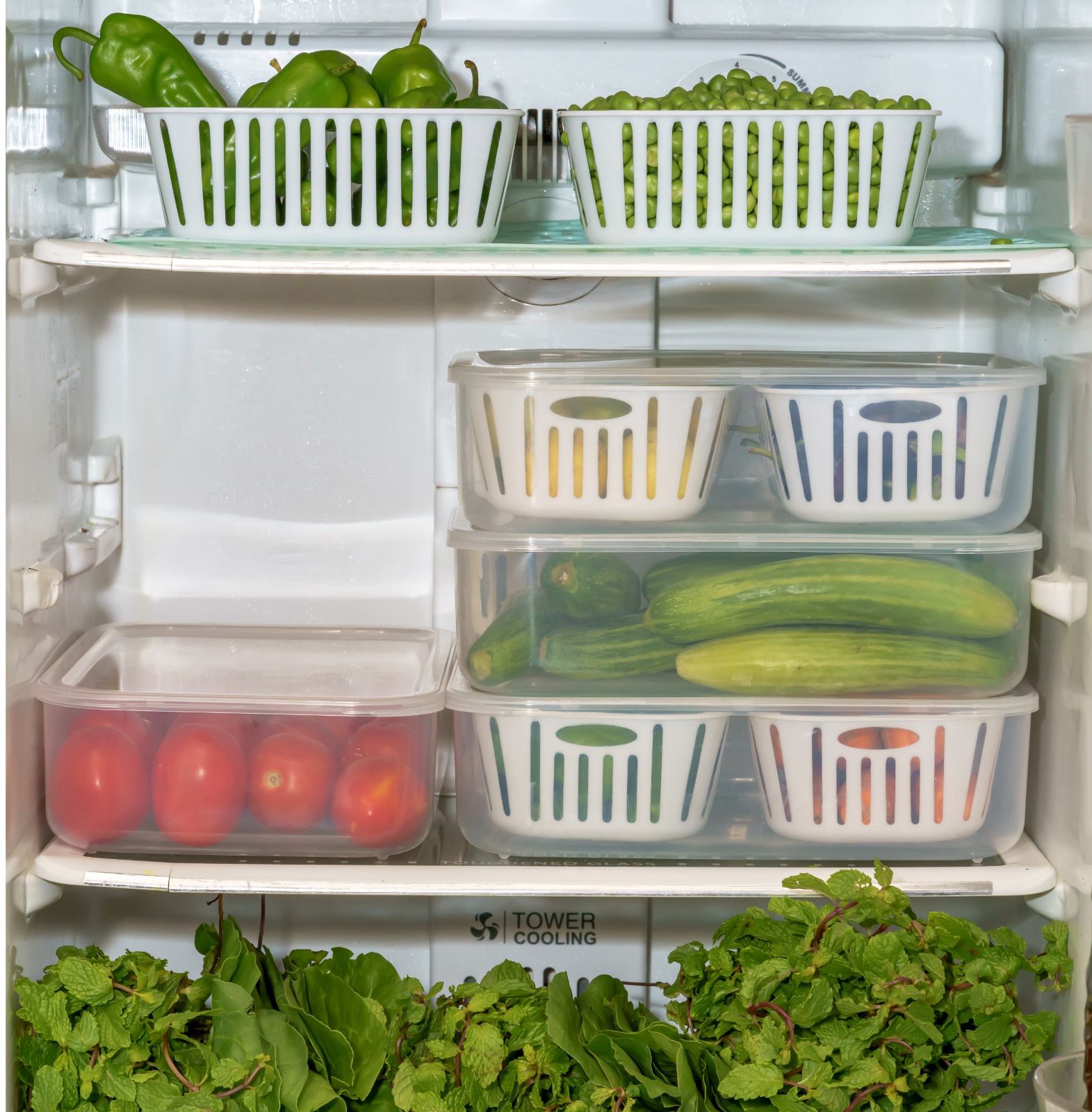 2 Big Compartments Fridge Storage Box | TwiiMart.in