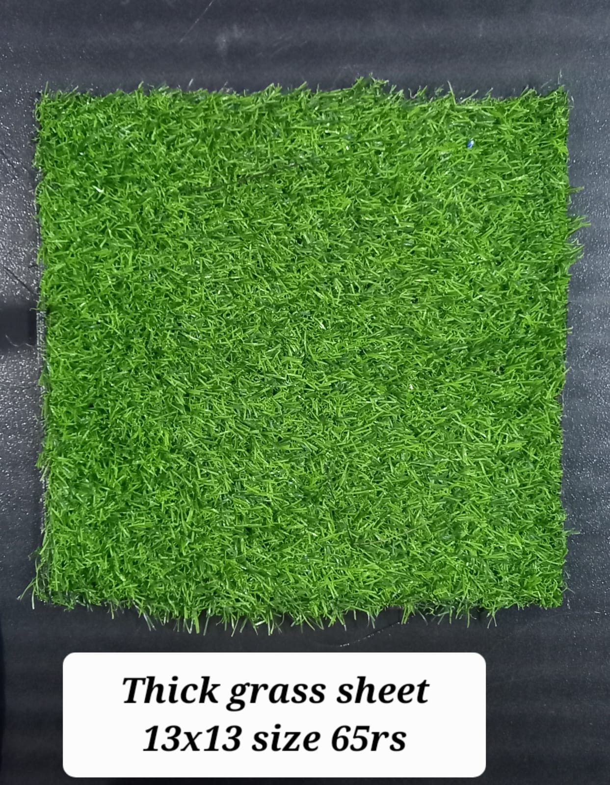grass | vishal wholesale