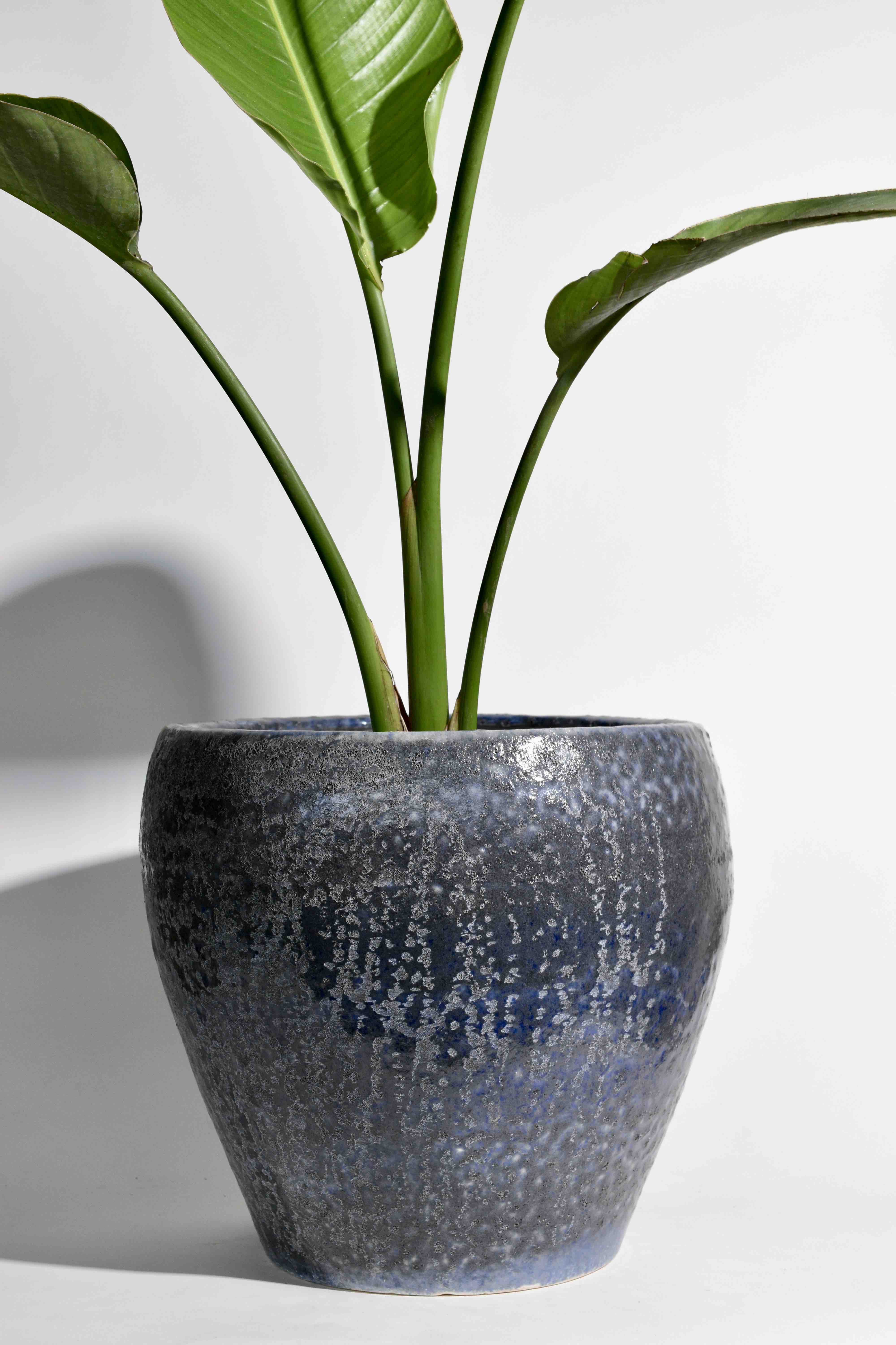 Antique Ancient Roman Pots | DNF Ceramics