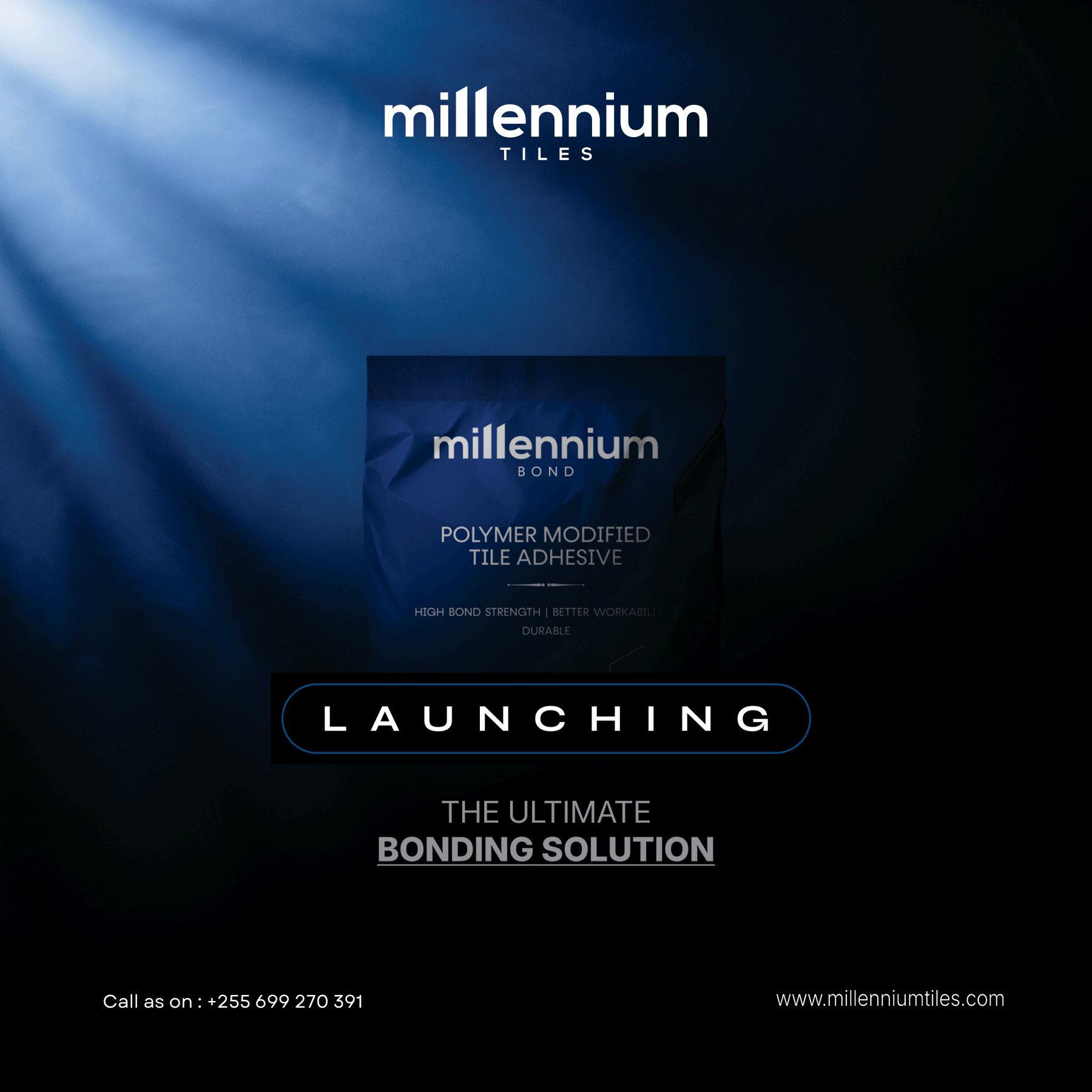 millennium tiles Tanzania ltd